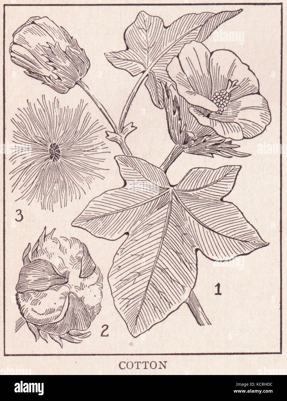 720 page hi-res stock photography and images - Alamy