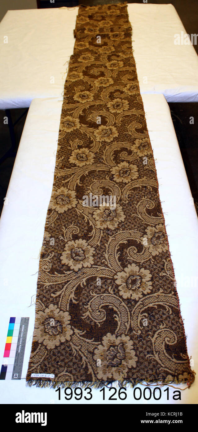 A detailed image of a carpet section, showcasing the intricate design ...