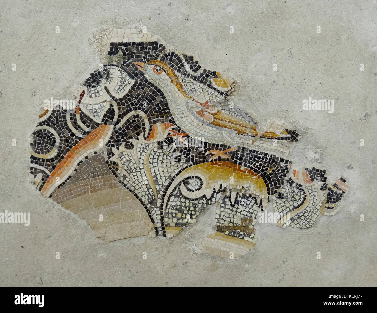 Delos Museum Mosaik Vogel 01 Stock Photo - Alamy