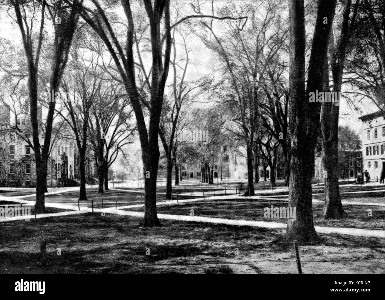 Americana 1920 Harvard University Stock Photo - Alamy