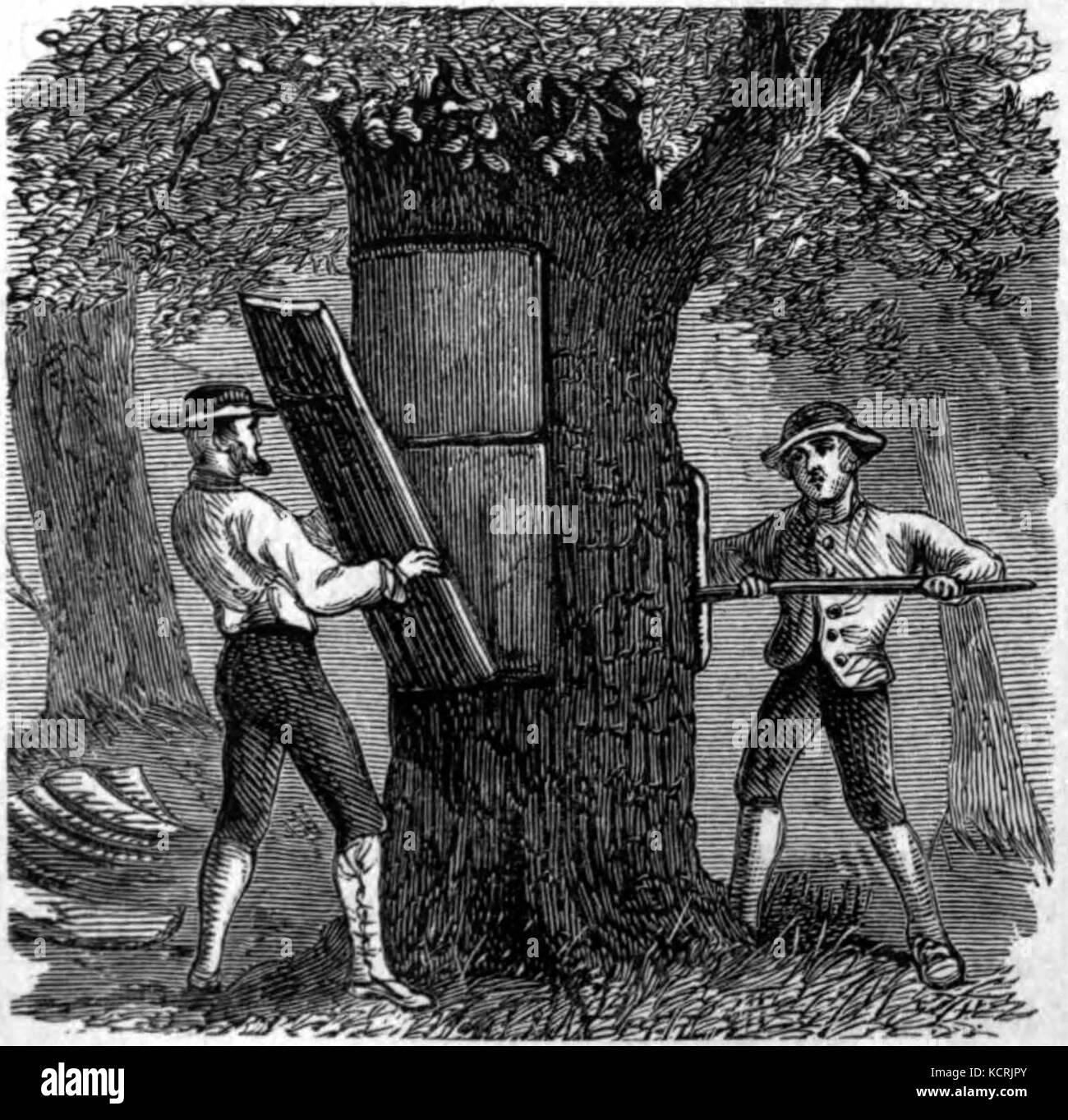 Tree cutting industry Black and White Stock Photos & Images - Alamy