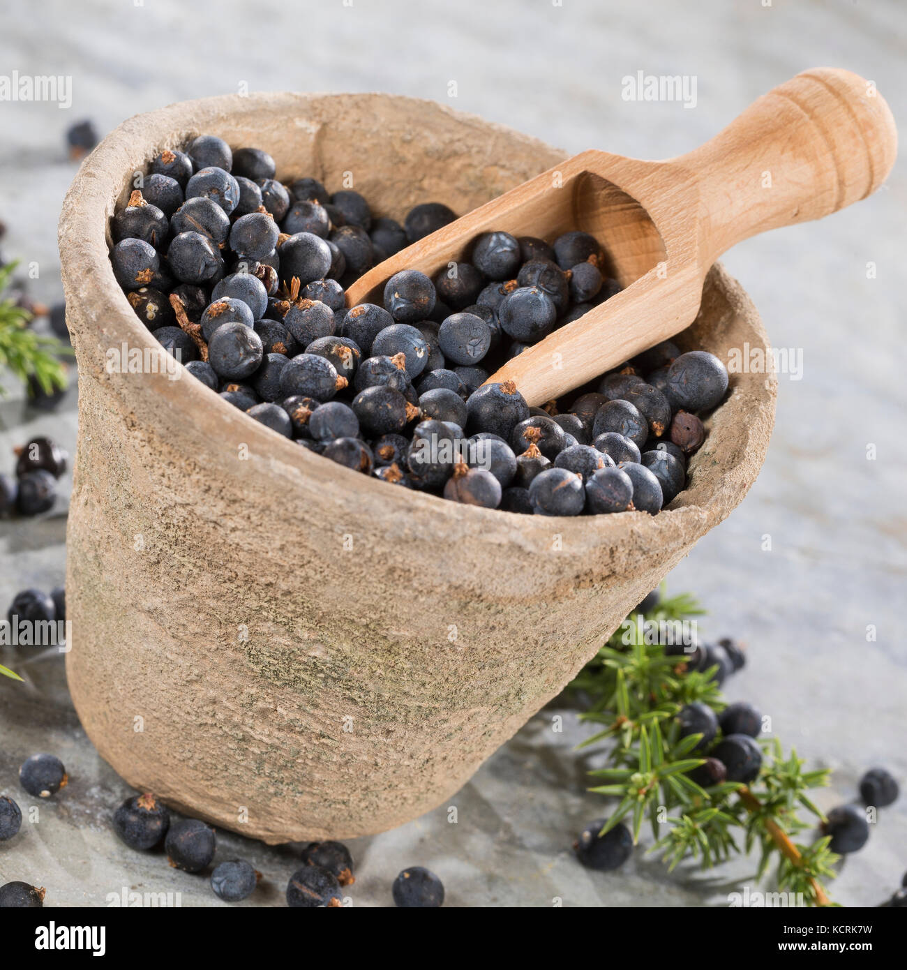 Wacholderbeeren, Wacholder-Beeren, Gemeiner Wacholder, Heide-Wacholder ...