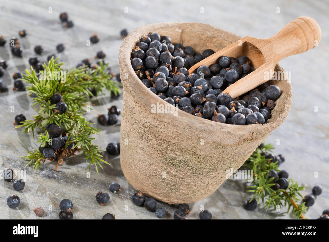Wacholderbeeren, Wacholder-Beeren, Gemeiner Wacholder, Heide-Wacholder ...