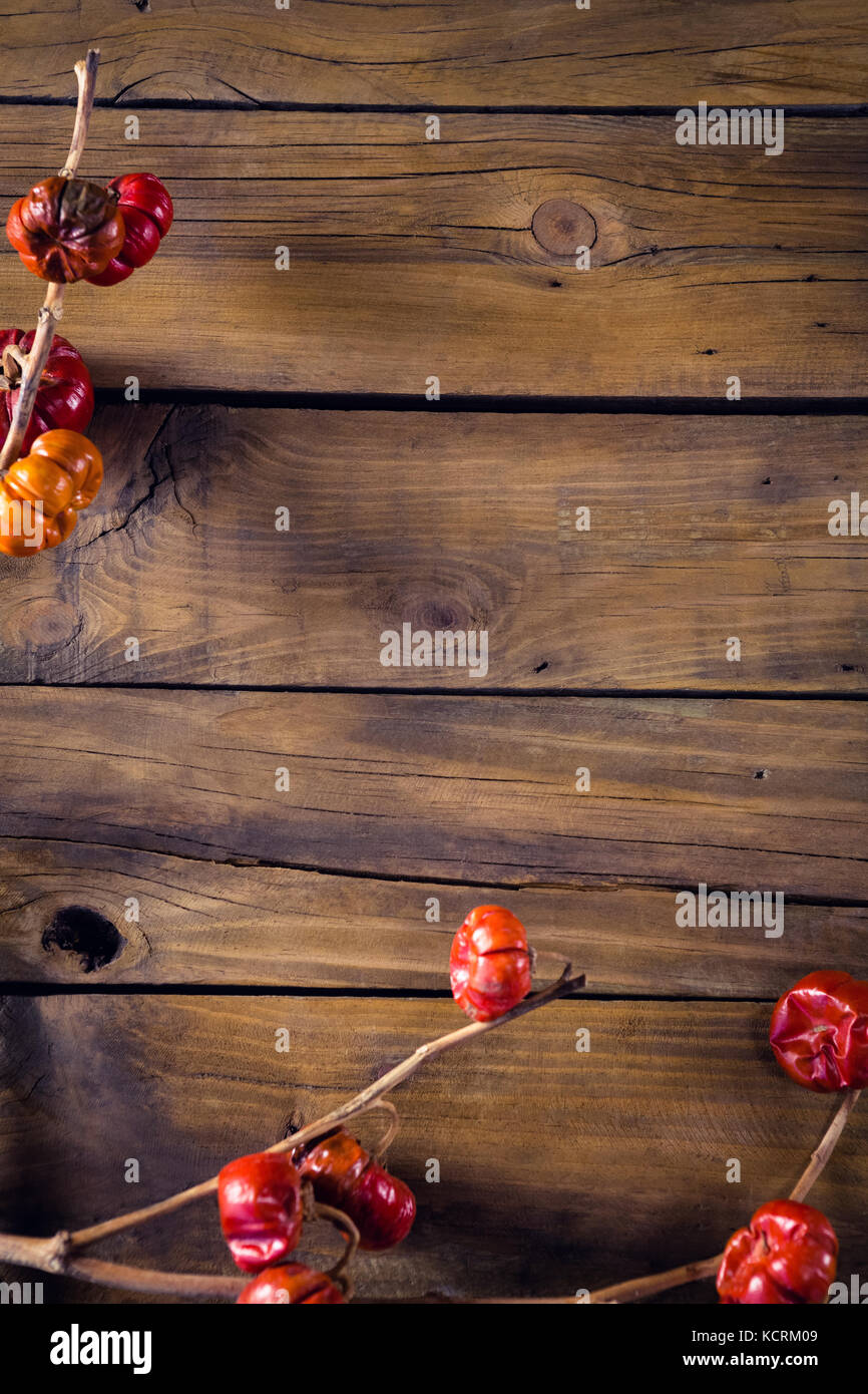 Dried mistletoe hi-res stock photography and images - Alamy