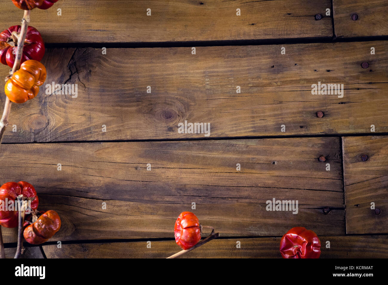 Dried mistletoe hi-res stock photography and images - Alamy