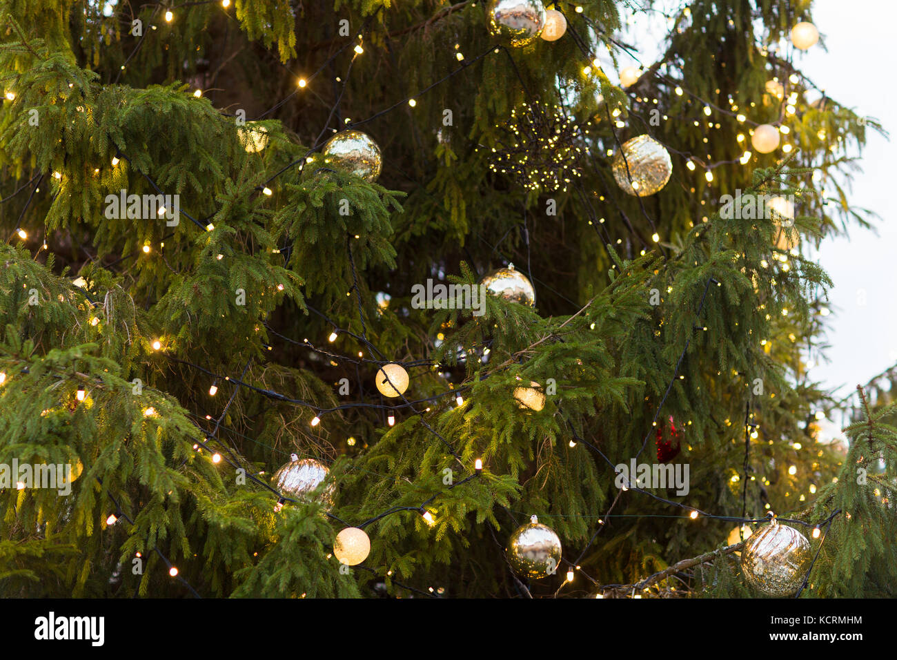 Tee tree hi-res stock photography and images - Alamy