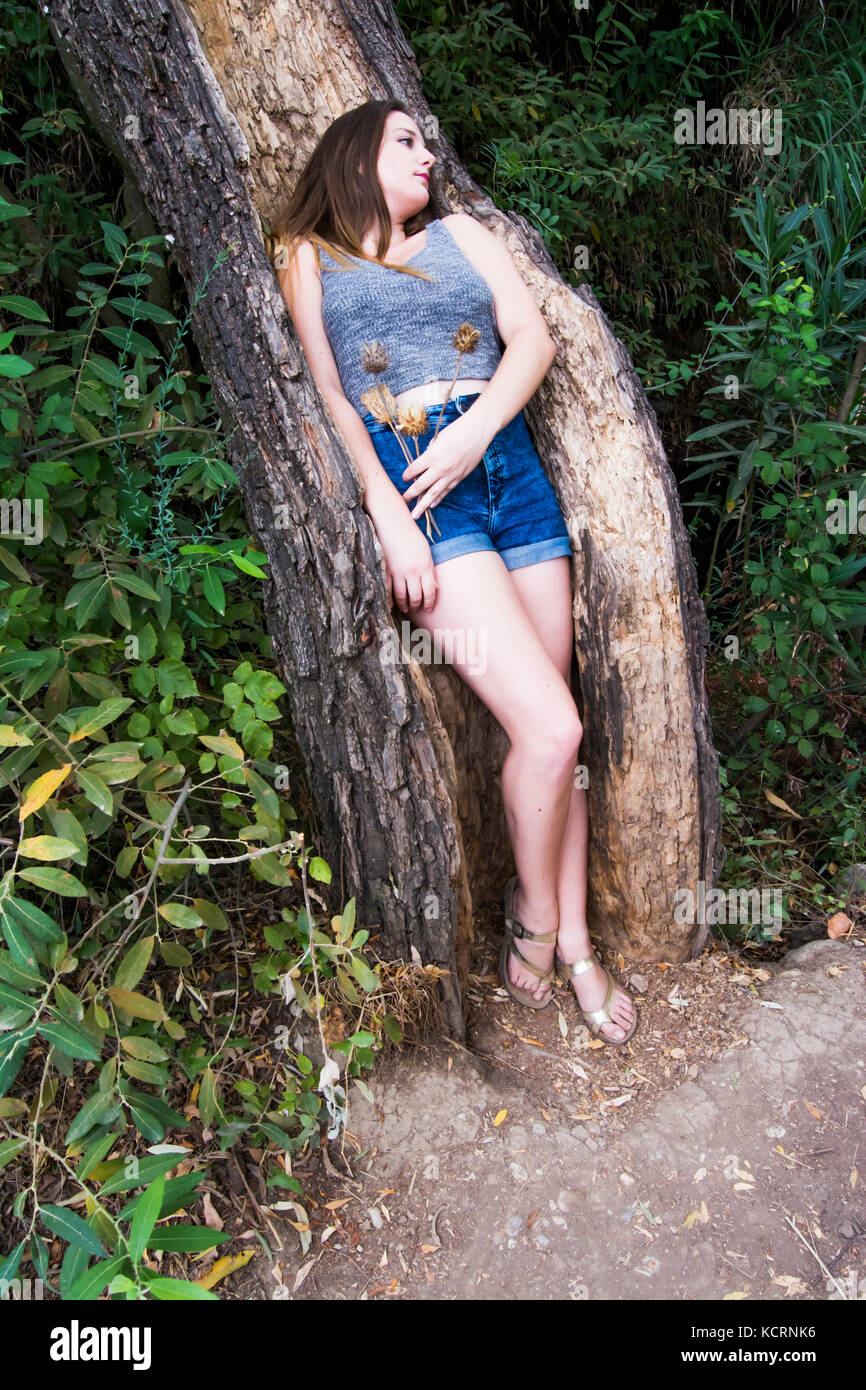 Beautiful woman sleeping in the hollow of a tree trunk Stock Photo - Alamy