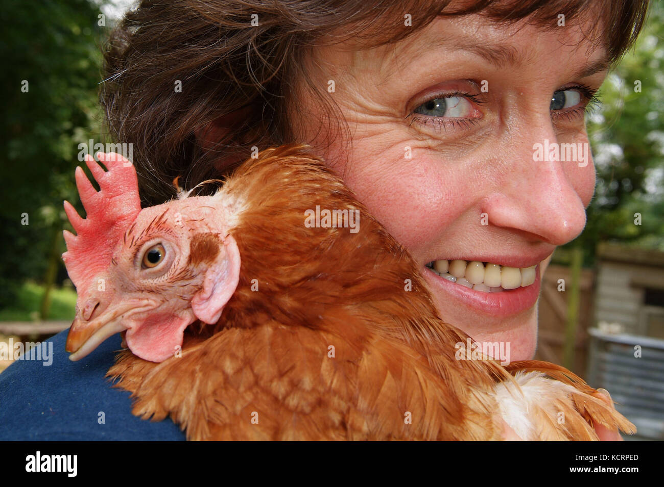 Jane Howorth of the Battery Hen Welfare Trust Stock Photo - Alamy