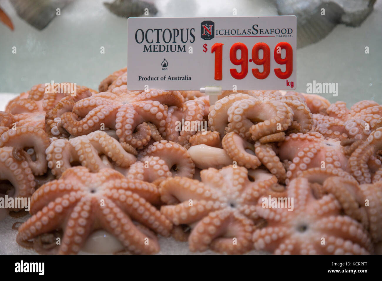 Octopus for sale at Fisherman's Wharf in Sydney Australia Stock Photo ...