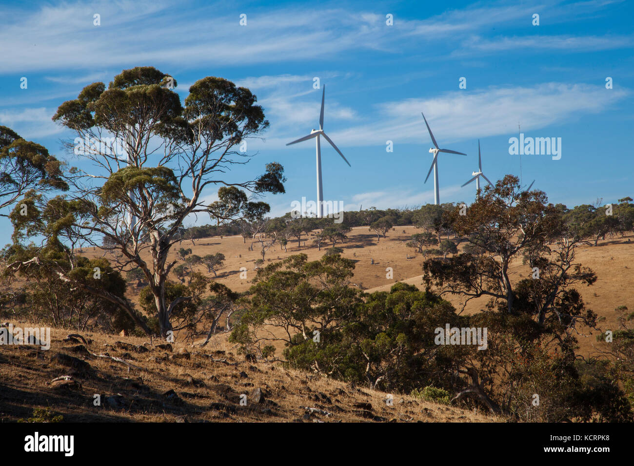 Wind turbines australia hi-res stock photography and images - Alamy