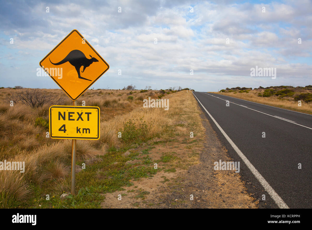 Kangaroo caution road sign on road side along the Great Ocean Road ...