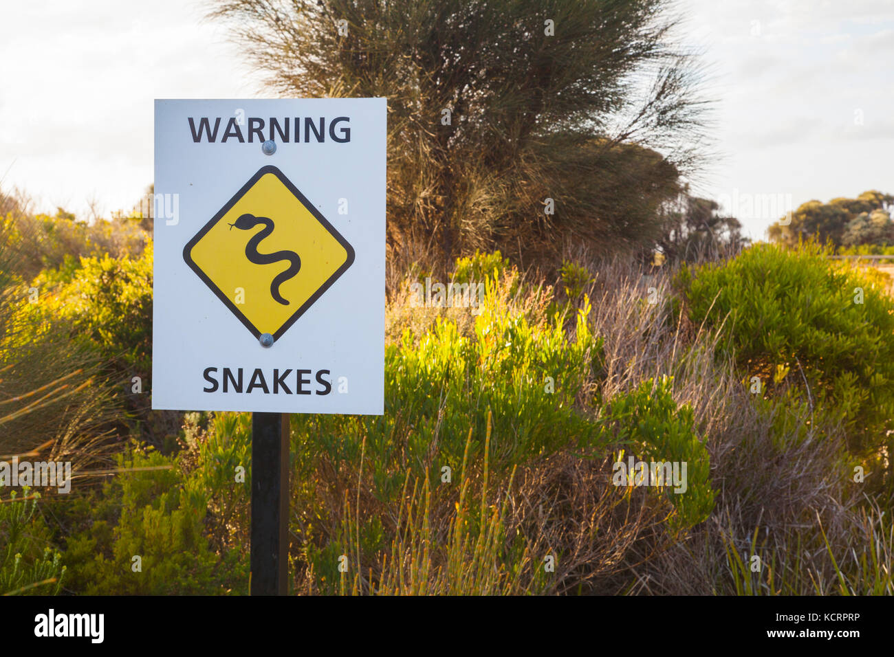 Warning snakes sign hi-res stock photography and images - Alamy