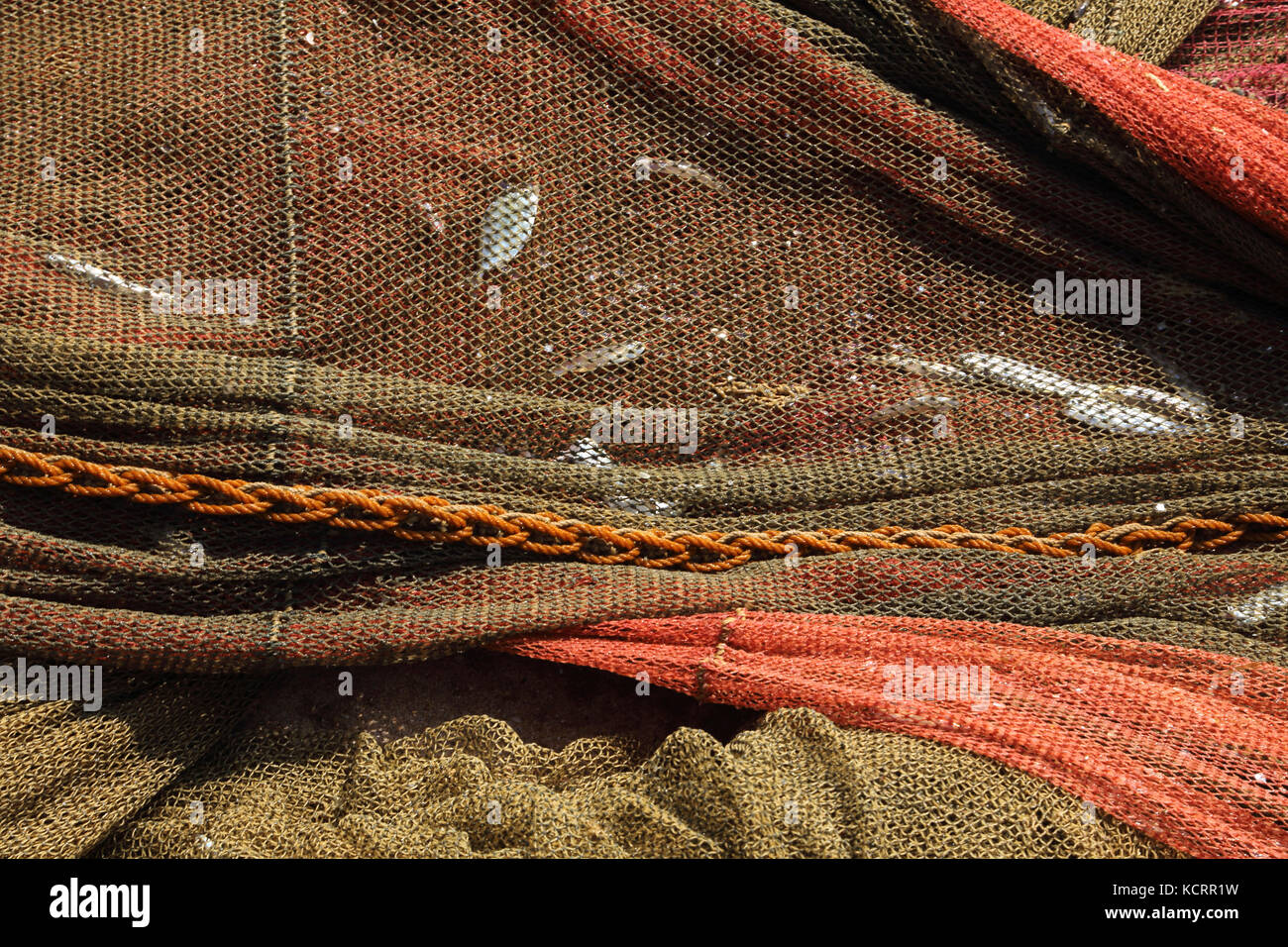 Fish net on beach sri lanka hi-res stock photography and images - Alamy
