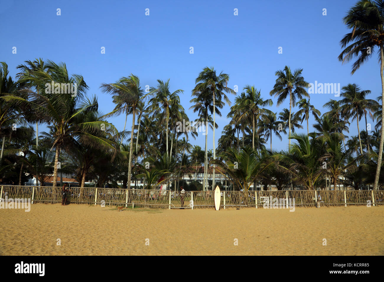 Blue Water Hotel Wadduwa Western Province Sri Lanka Beach Stock Photo ...