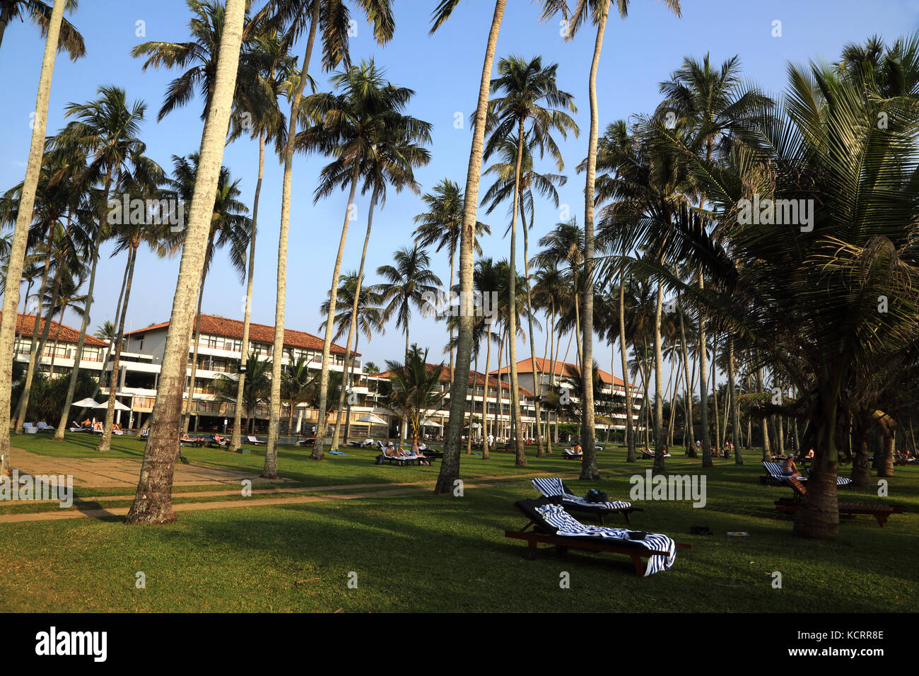 Blue Water Hotel Wadduwa Western Province Sri Lanka Tourists on Sun ...