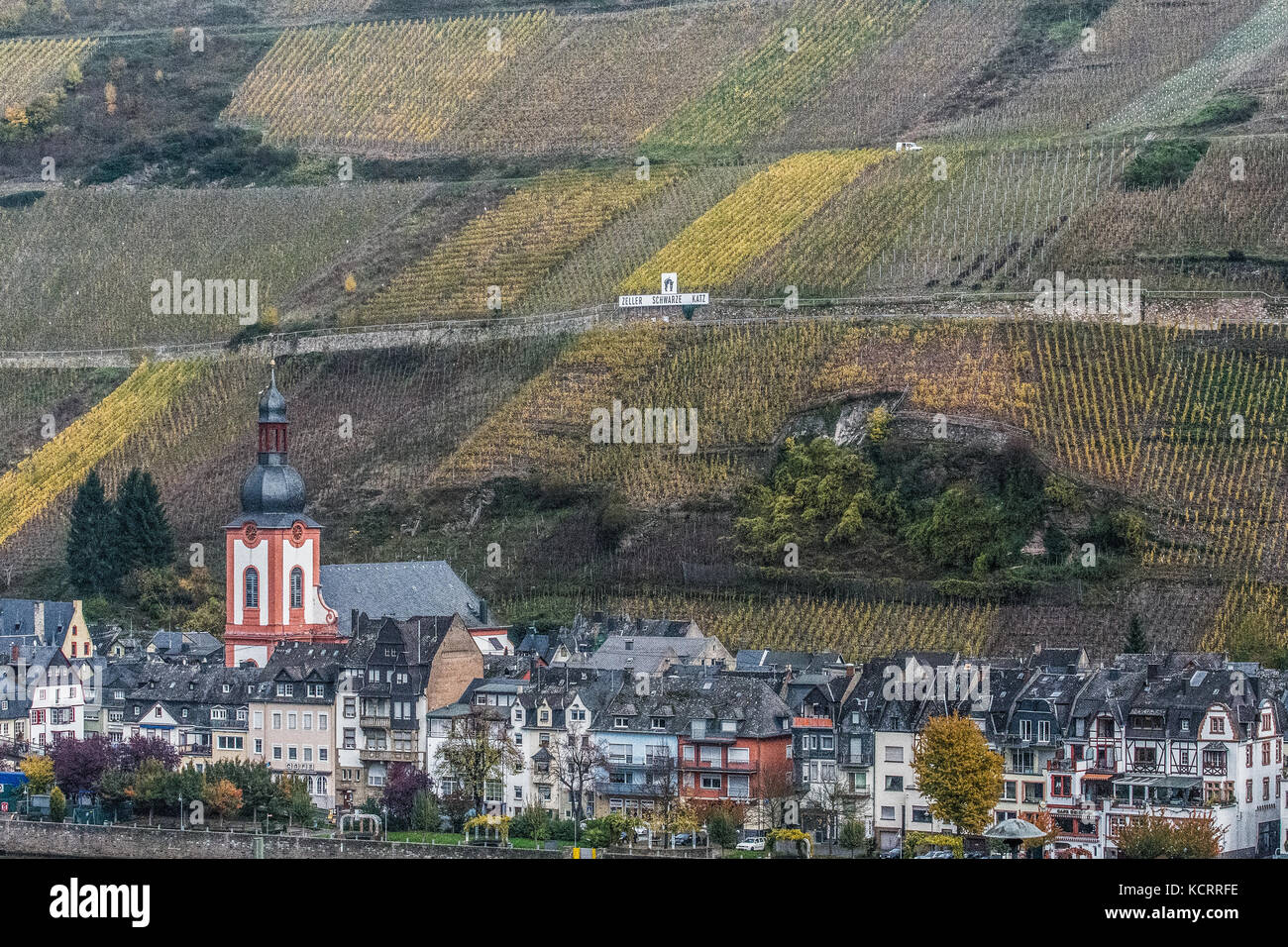 German wine industry: vineyards of Zell an der Mosel, Zell, Mosel ...