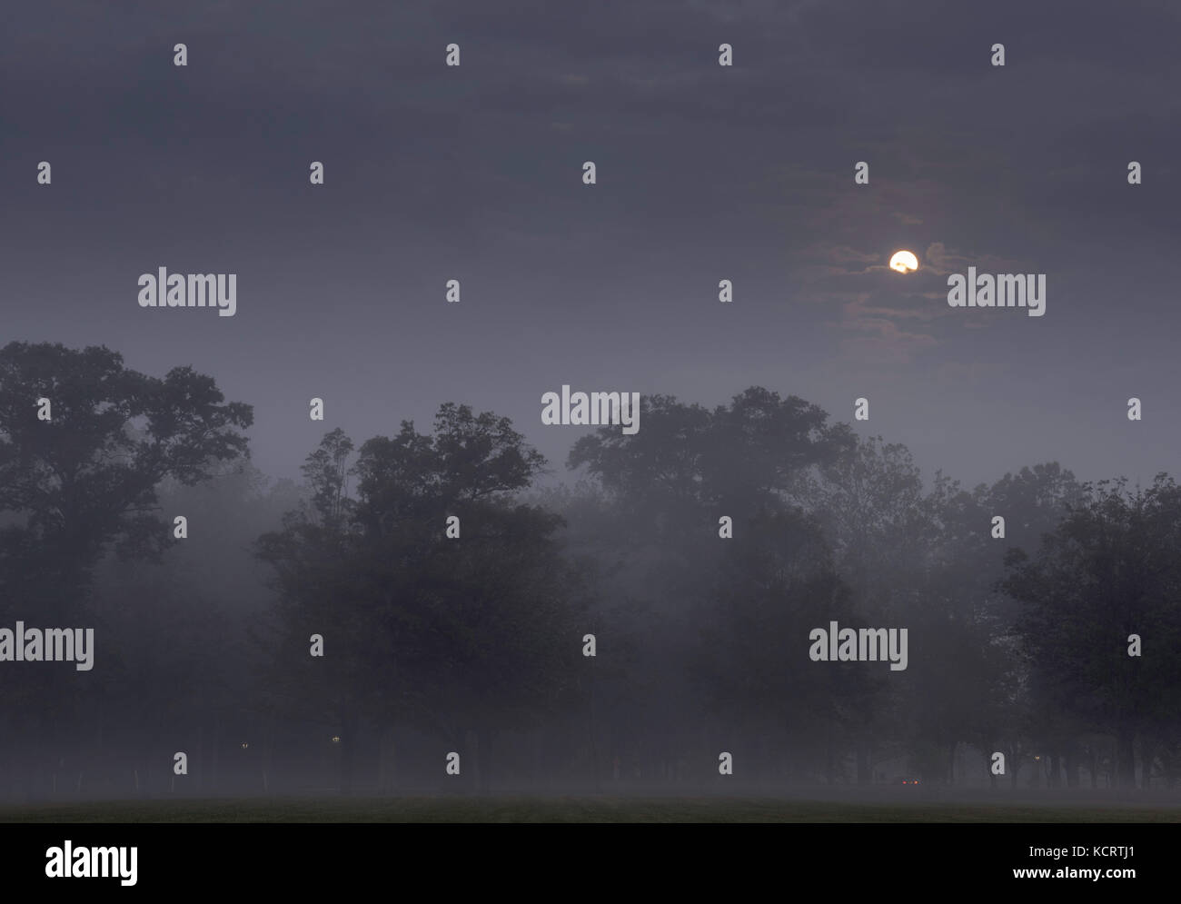 Fall Harvest Moon Photography