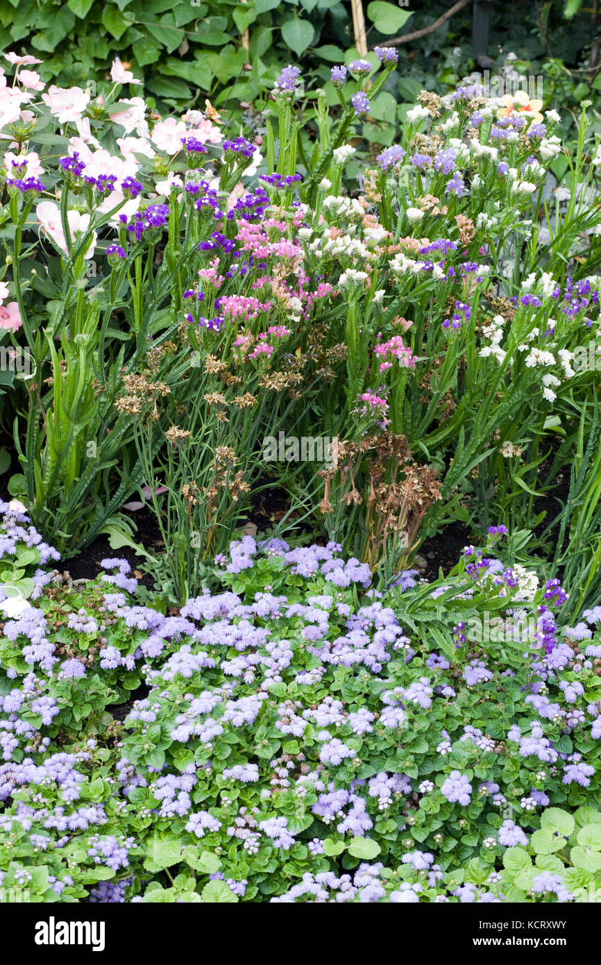 decorative flower border in a country garden Stock Photo - Alamy