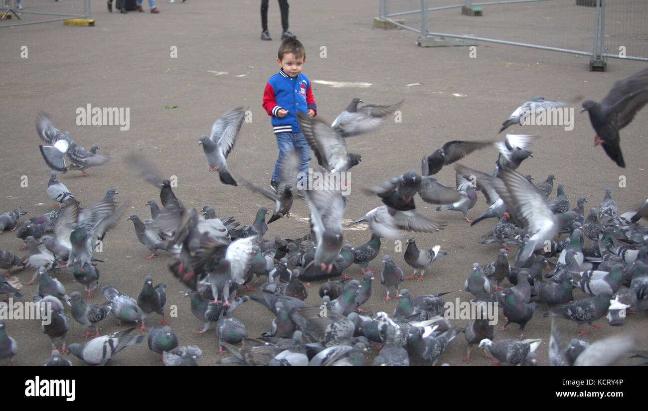 George square Glasgow tourist little boy play with the pigeons Stock ...