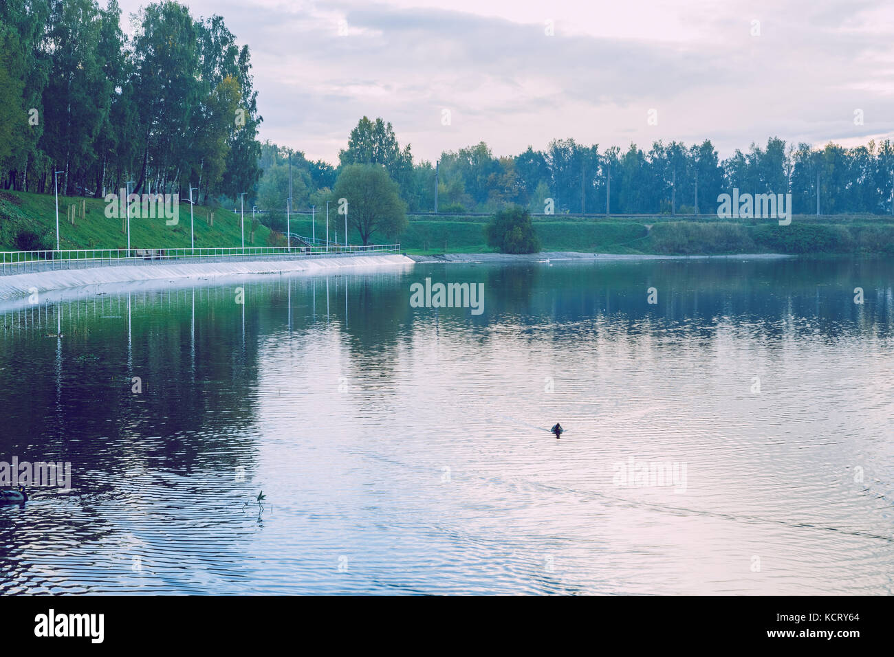 Jugla lake in Riga, autumn, yellow tree leaves. 2017 Stock Photo - Alamy
