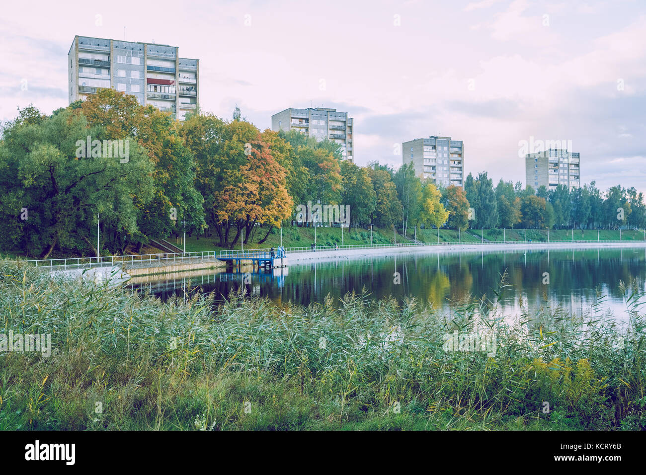 Jugla lake in Riga, autumn, yellow tree leaves. 2017 Stock Photo - Alamy