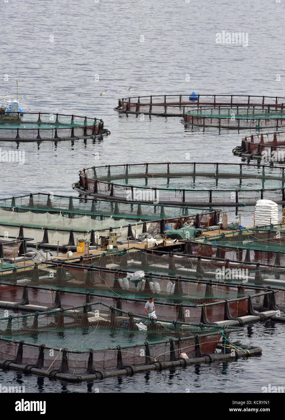 A fish farm in corfu greece with the coast of Albania in the background ...