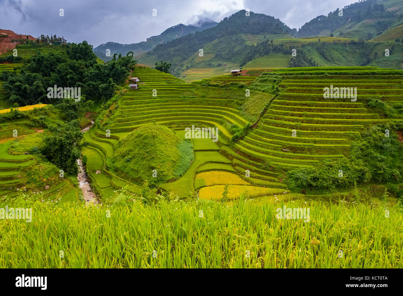 Beautiful landscape of rice terrace fields in Mu Cang Chai, Vietnam ...
