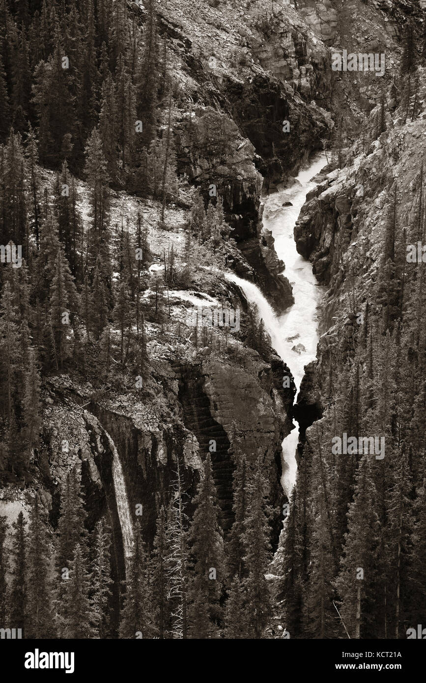 Forest and waterfall in Banff National Park, Canada Stock Photo - Alamy
