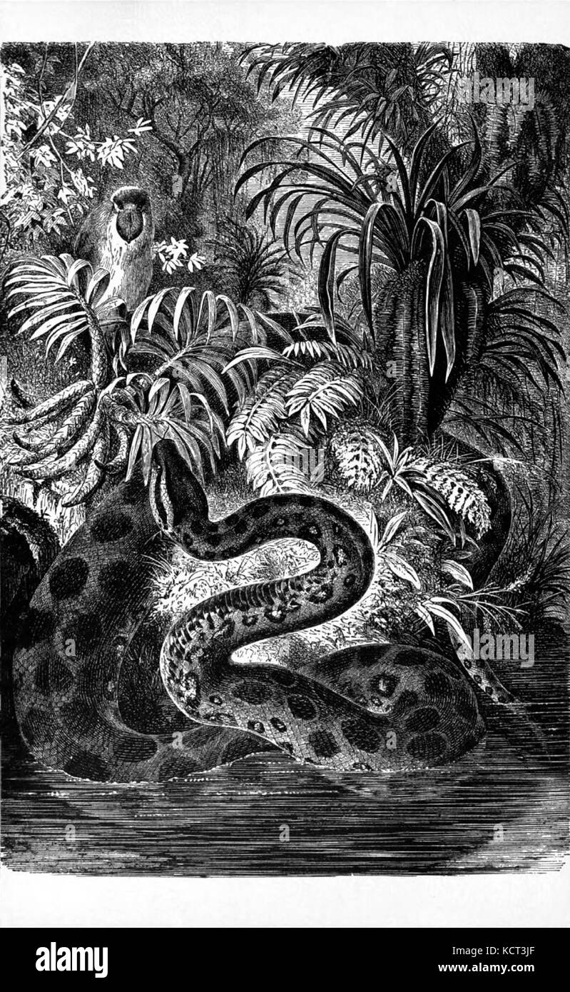 Americana event Black and White Stock Photos & Images - Alamy