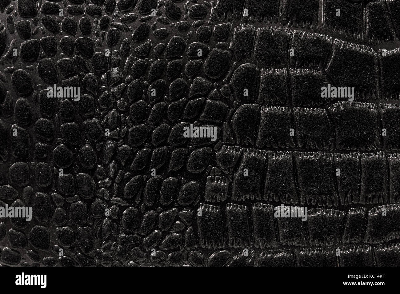 the texture of the skin is gray, Studio, still life photography Stock ...