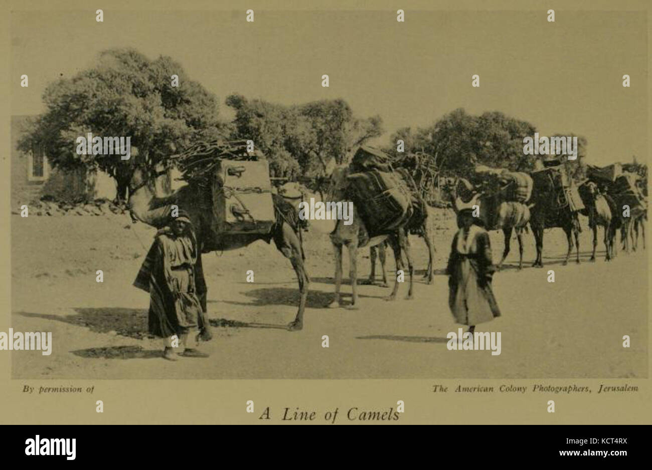 Camel train painting hi-res stock photography and images - Alamy