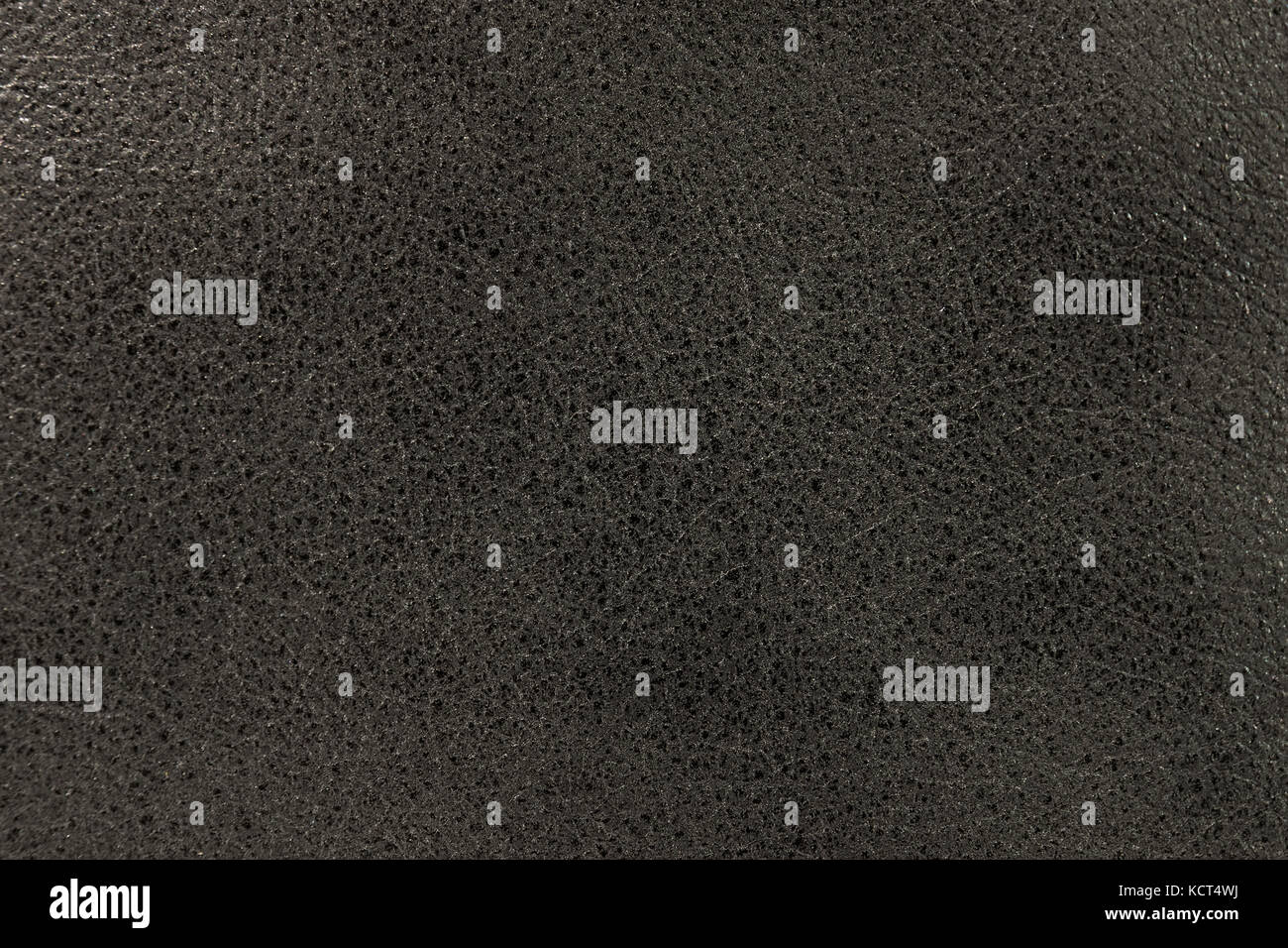 the texture of the skin is gray, Studio, still life photography Stock ...