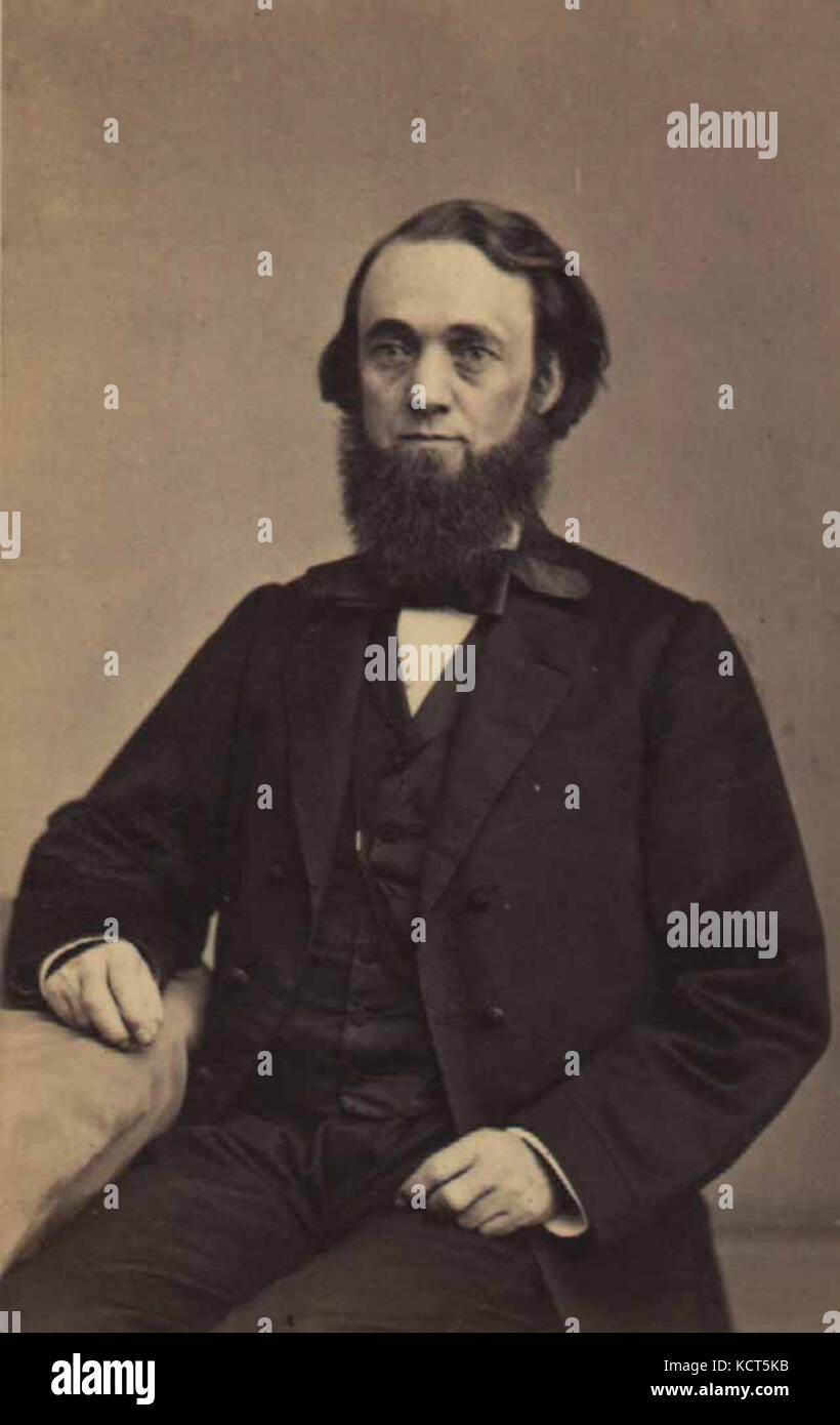 Edward Brooks (1831 1912 Stock Photo - Alamy