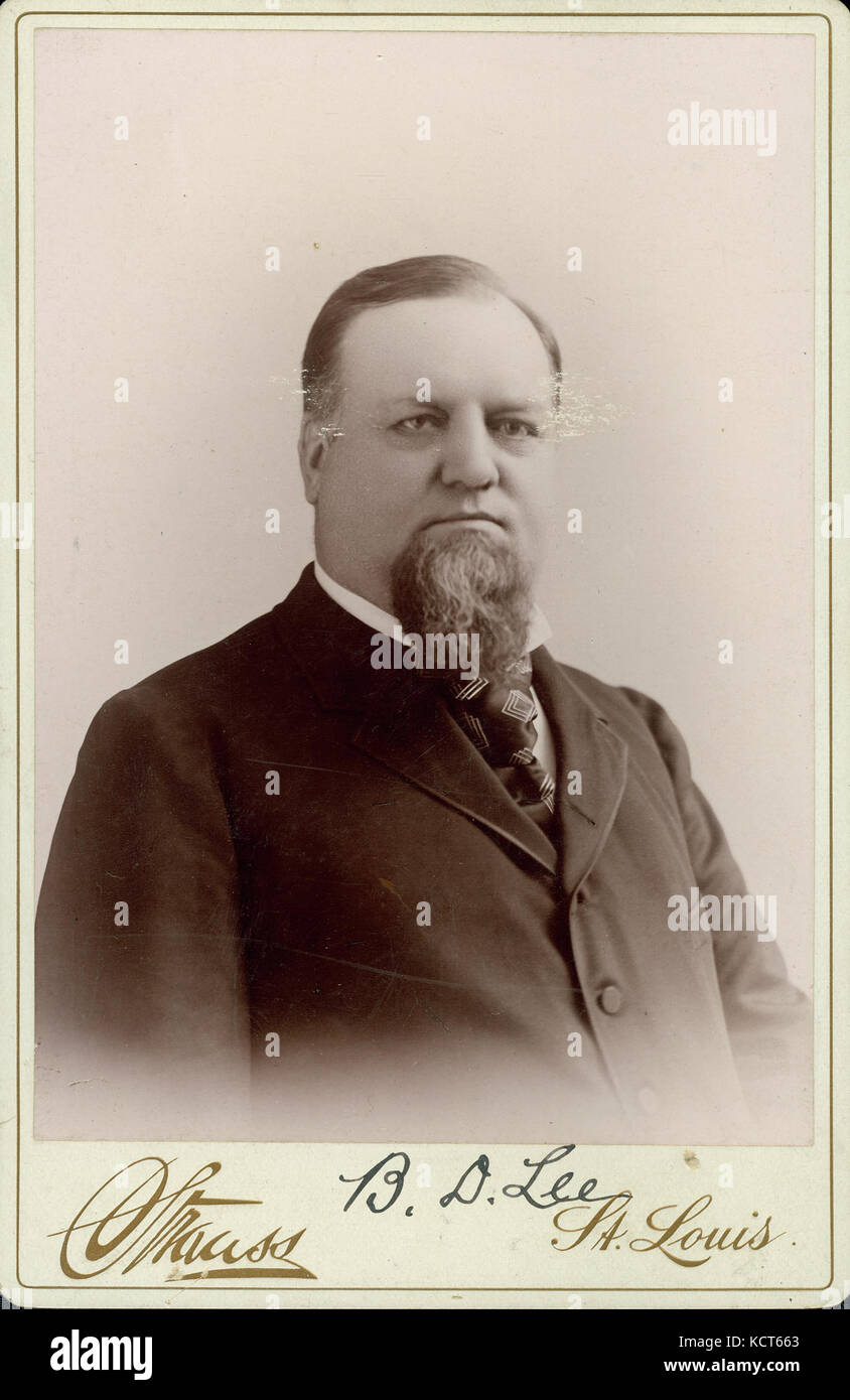 David B. Lee, Captain, Brevet Major, U.S. Volunteers Stock Photo - Alamy