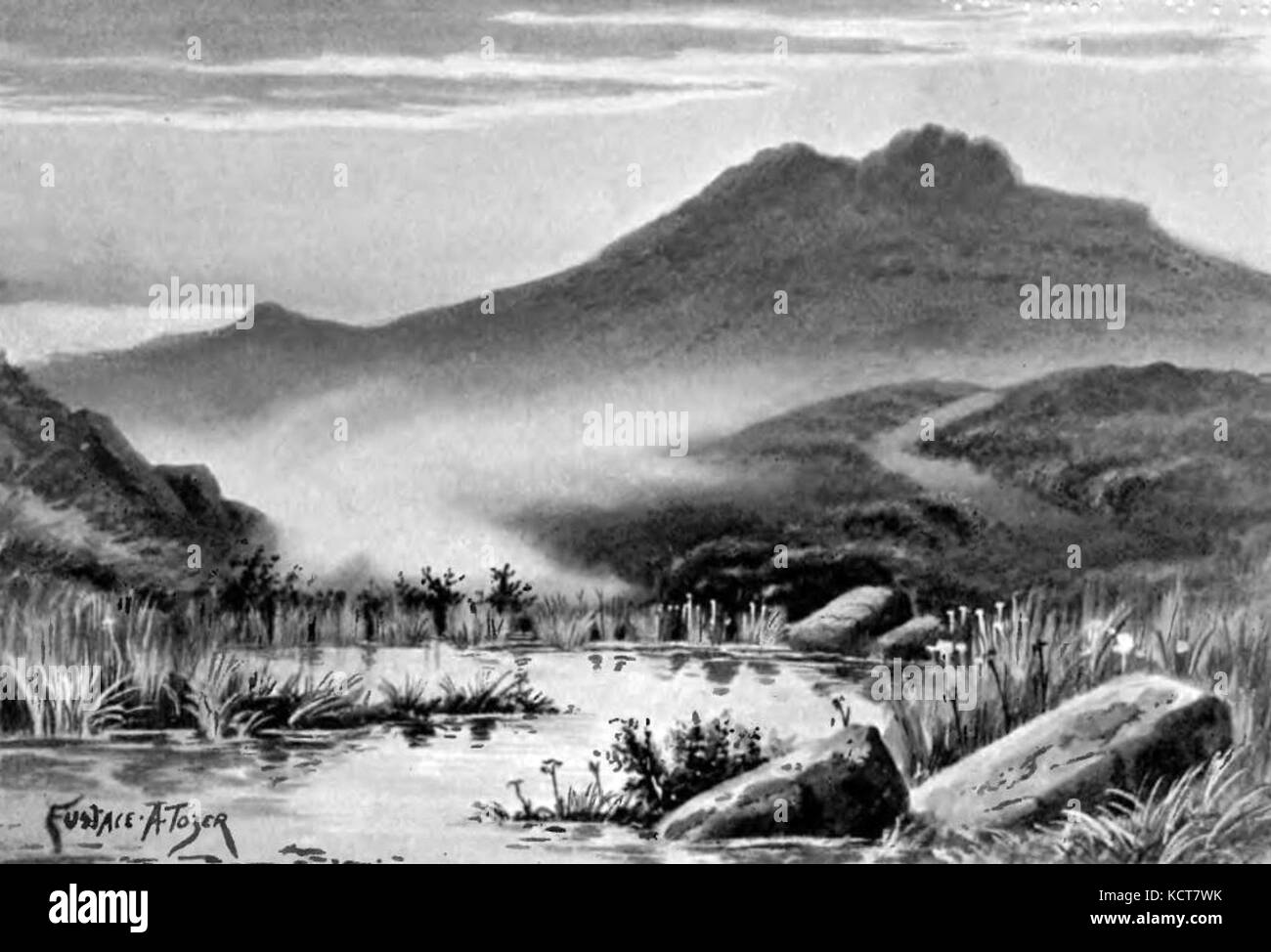 Hare tor hi-res stock photography and images - Alamy