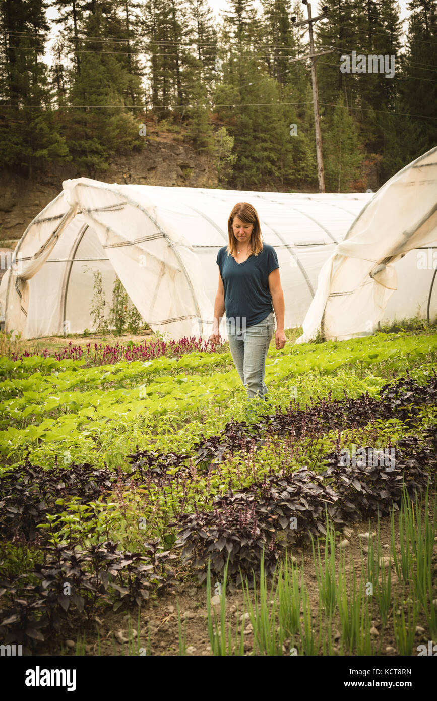 Mature woman farmer walking hi-res stock photography and images - Alamy