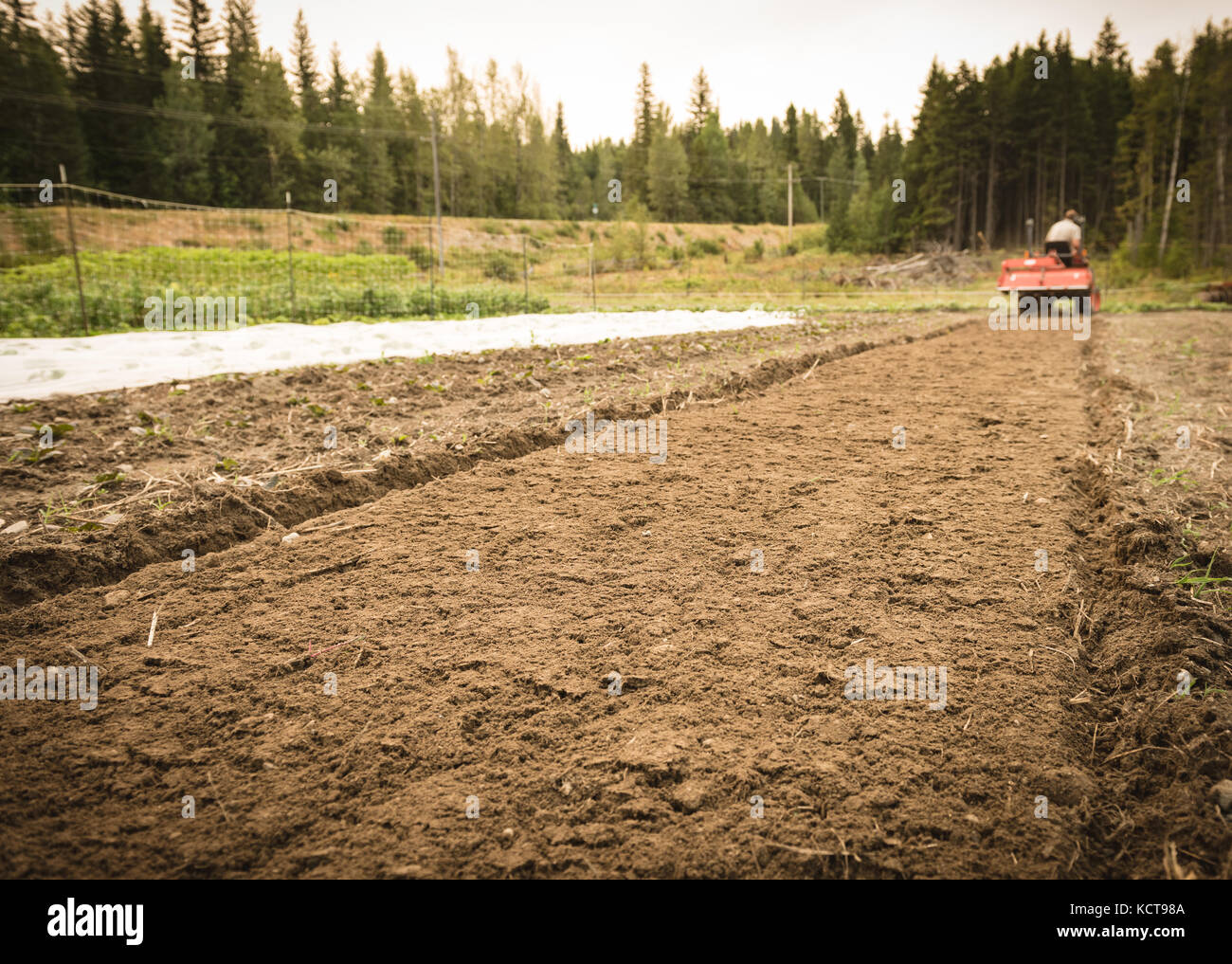 Man driving a small tractor ploughing field in farm Stock Photo - Alamy