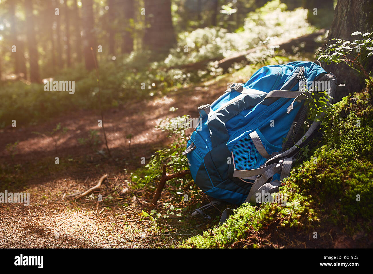 Lifestyle hiking modern backpack outdoor in forest. Blue backpack for ...