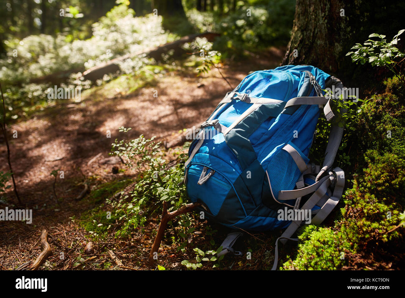Lifestyle hiking modern backpack outdoor in forest. Blue backpack for ...
