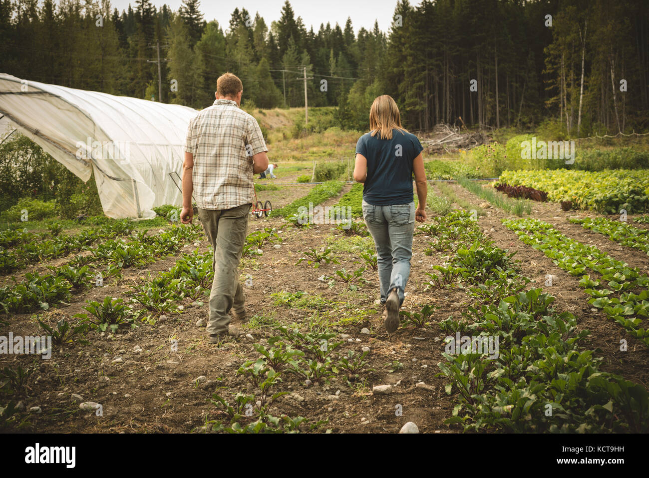Rear view of two farmers walking in the field Stock Photo - Alamy