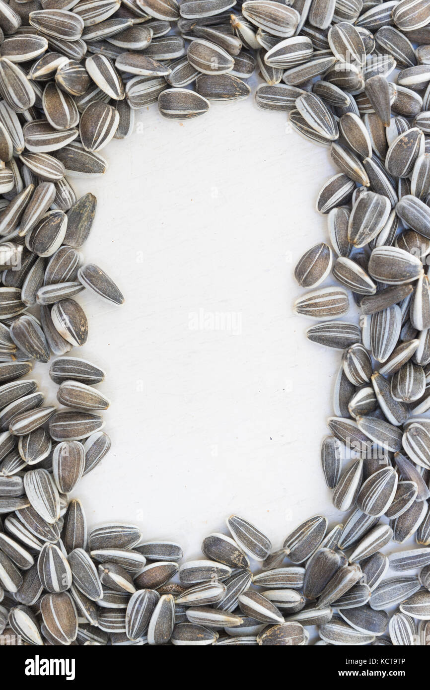 sunflower seed frames Stock Photo - Alamy