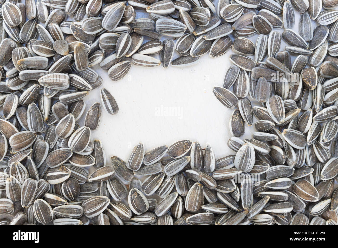 sunflower seed frames Stock Photo - Alamy