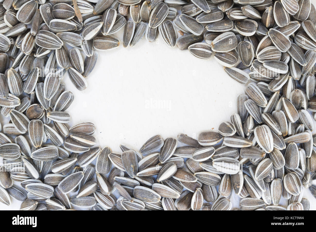 sunflower seed frames Stock Photo - Alamy