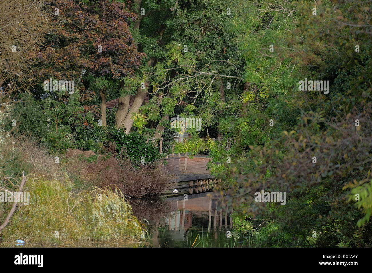 river mole autumn Stock Photo - Alamy