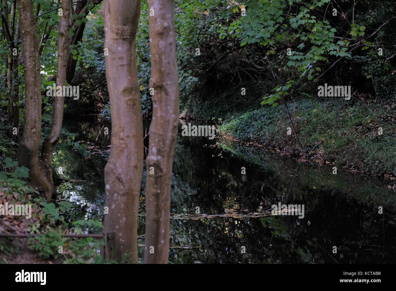 river mole autumn Stock Photo - Alamy