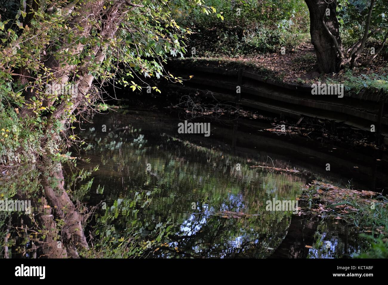 river mole autumn Stock Photo - Alamy