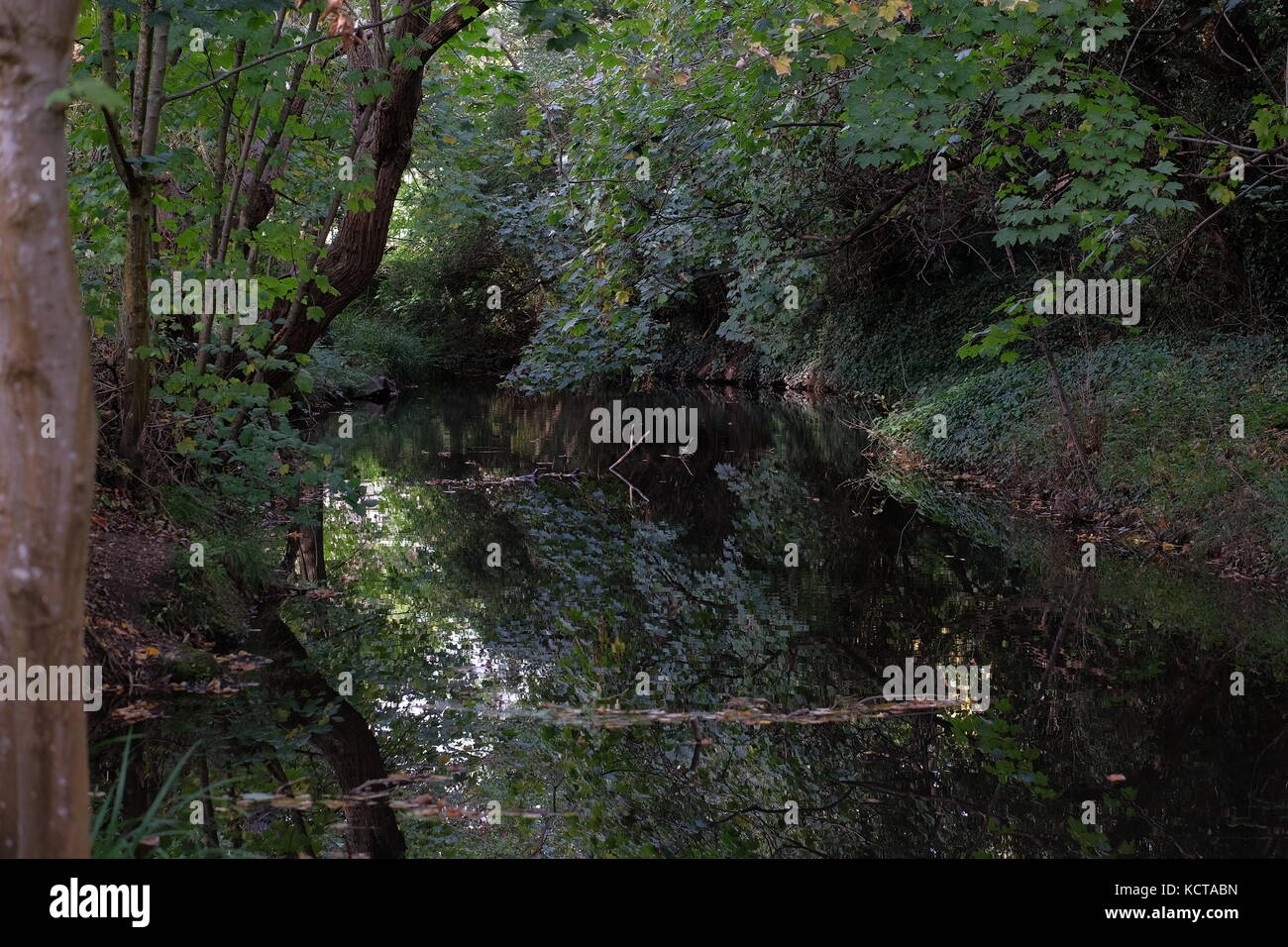 river mole autumn Stock Photo - Alamy