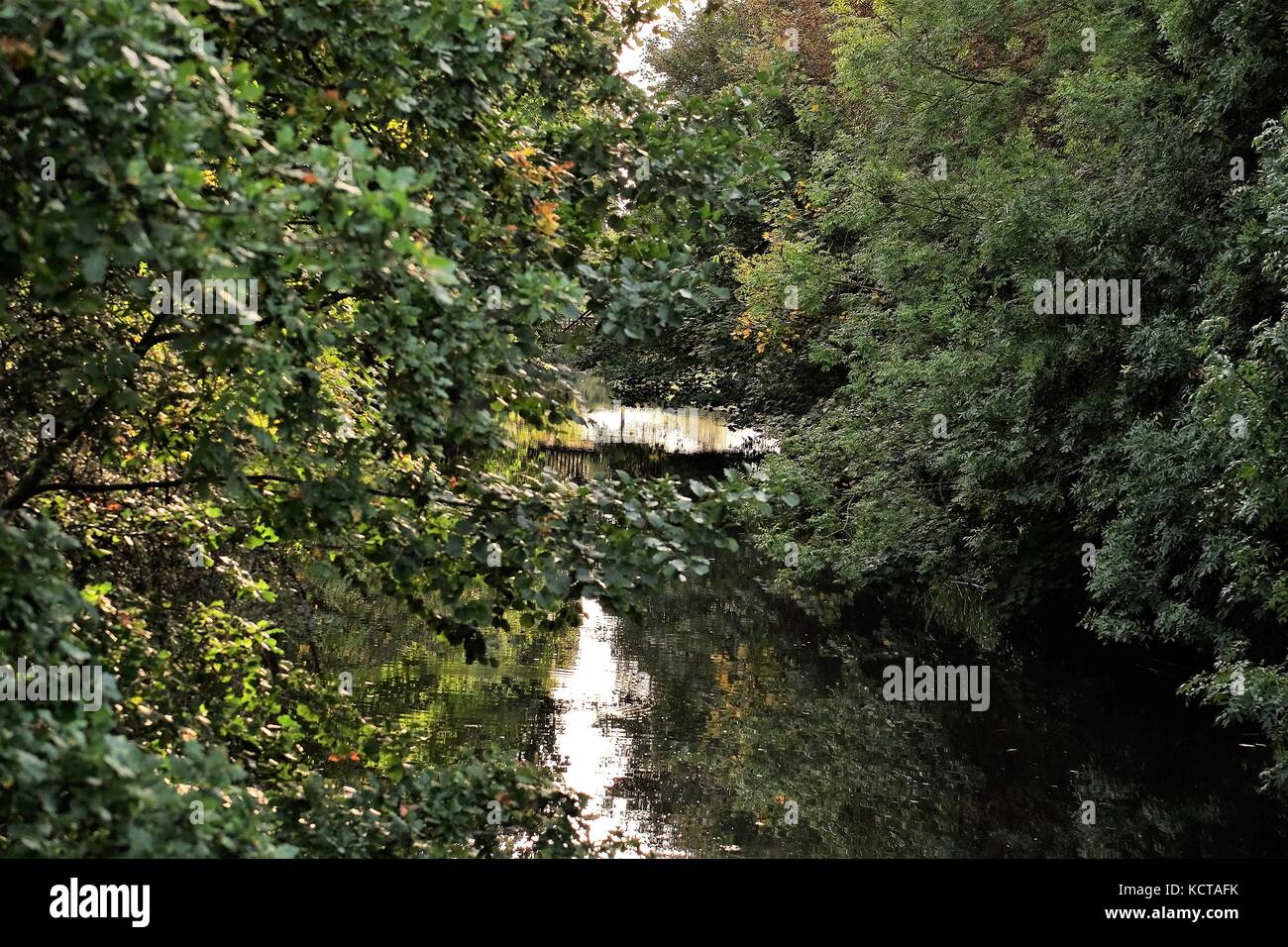 river mole autumn Stock Photo - Alamy