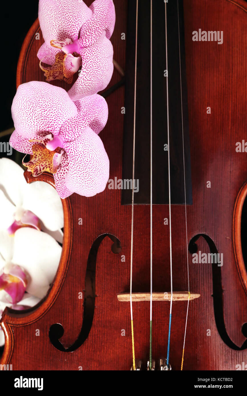 Musical flower arrangement hi-res stock photography and images - Alamy