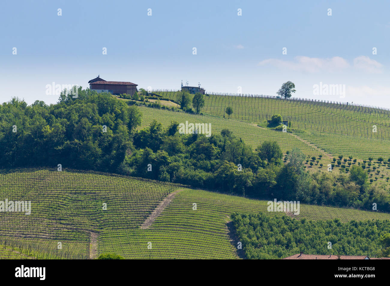 Beautiful Italian landscape. Vineyards from Langhe region,Italy ...